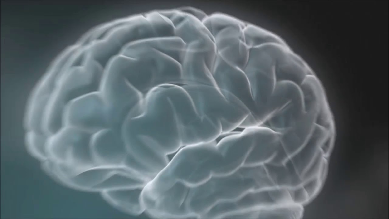 Aspectos Biologicos - YouTube