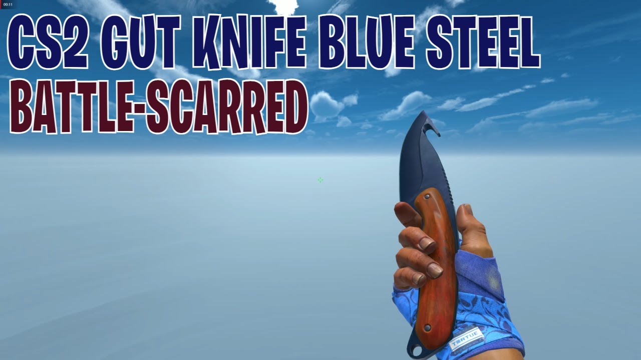 Gut Knife Blue Steel (Battle-Scarred) | CS2 Skin Showcase #507 - YouTube