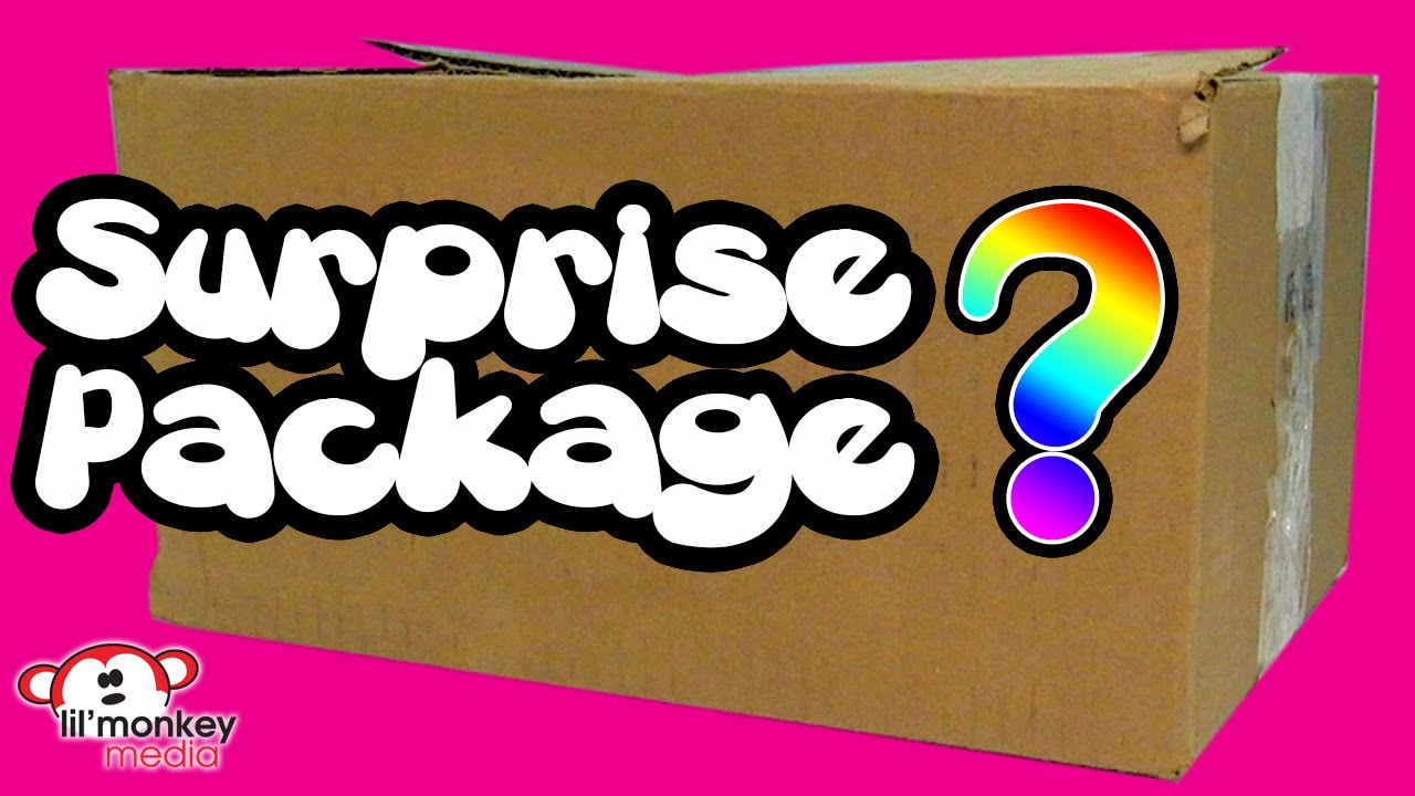 Surprise Package! Lil' Monkey Fan GIVEAWAY! - YouTube