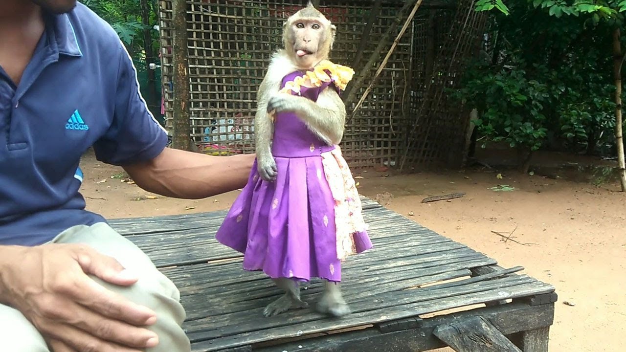 Princess Shally Happy To Get New Dress From YaYa - YouTube