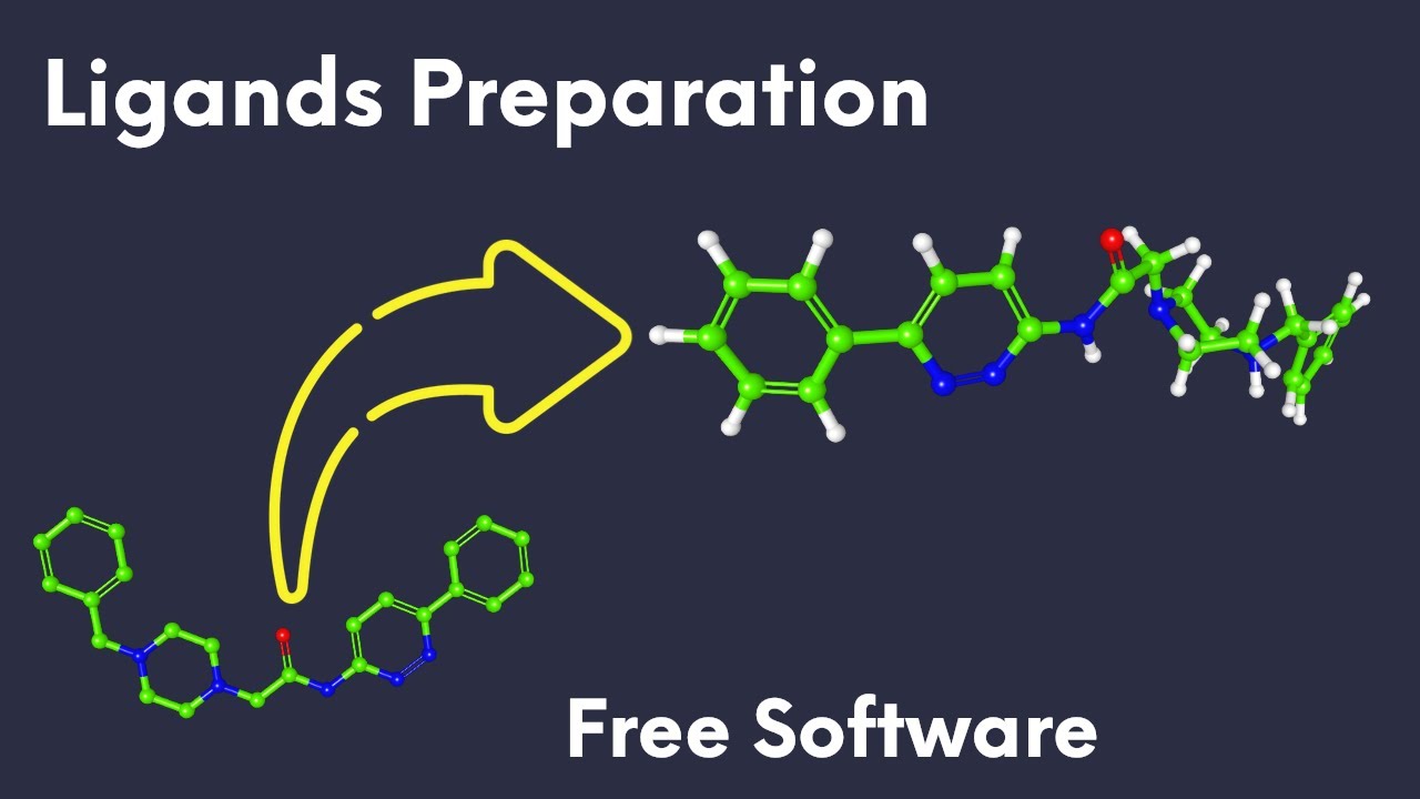Ligands Preparation Tutorial for Docking & Molecular Modelling Via a Free Software (Dockamon ...