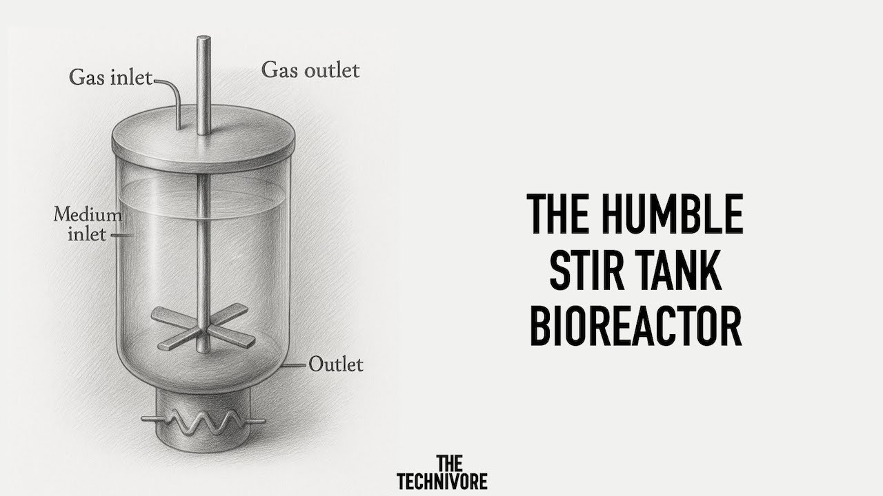 What Are Stir Tank Bioreactors? - YouTube