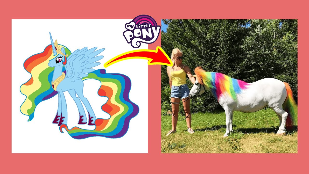 My Little Pony in real life @KINGKING69-q1w - YouTube