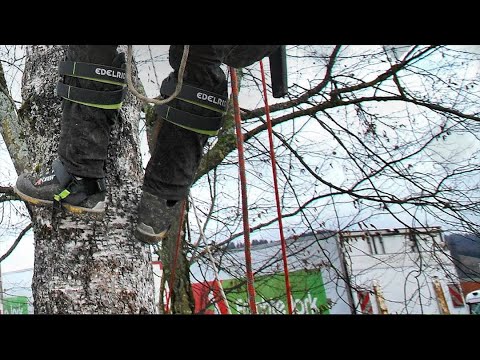 EDELRID Talon Tree Climbers - WTD Equipment - YouTube