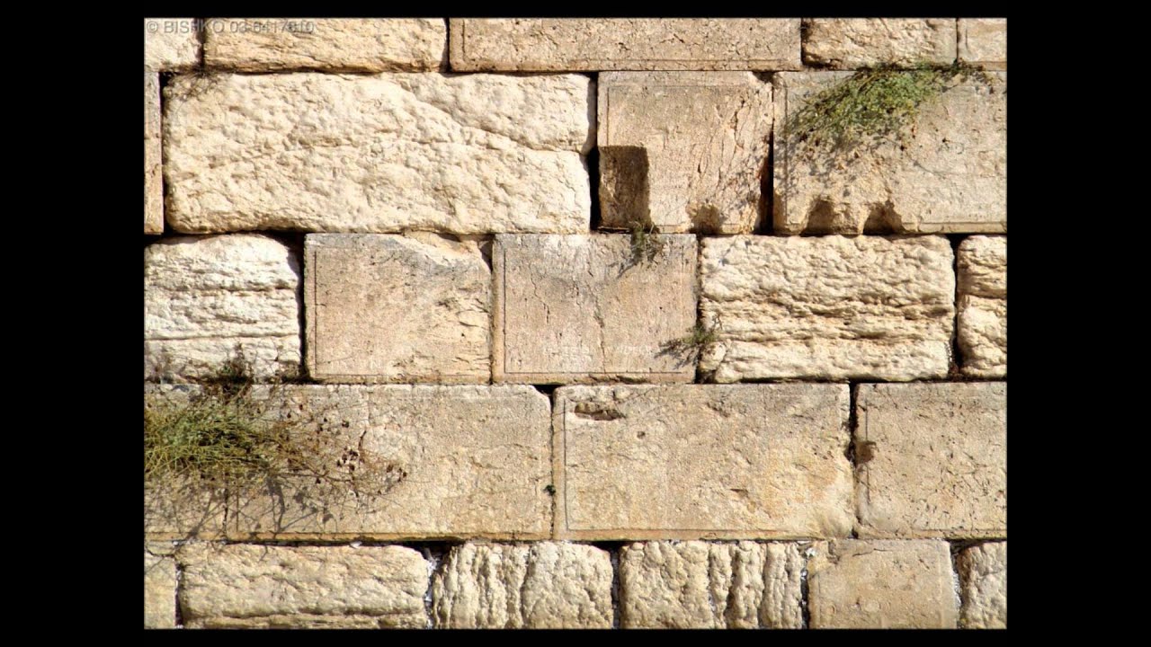 Aaron Bortz 101610 - YouTube