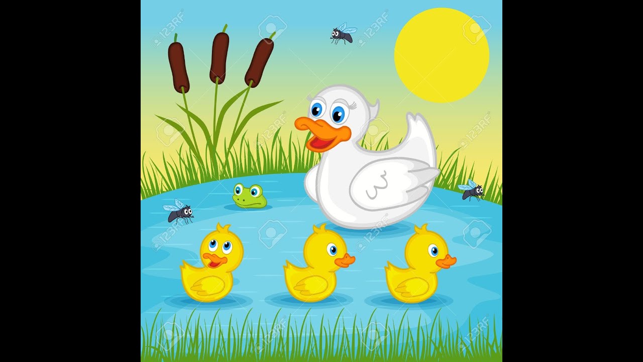 DONDE ESTAN LOS TRES PATITOS Edgar Carrera Septiembre 28 2023 - YouTube