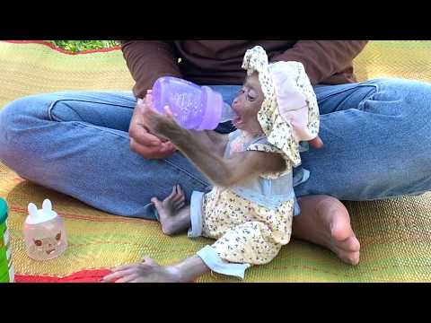 Special day!! Mom took her Adorable baby LIORA to drink milk outside in a beautiful dress and hat