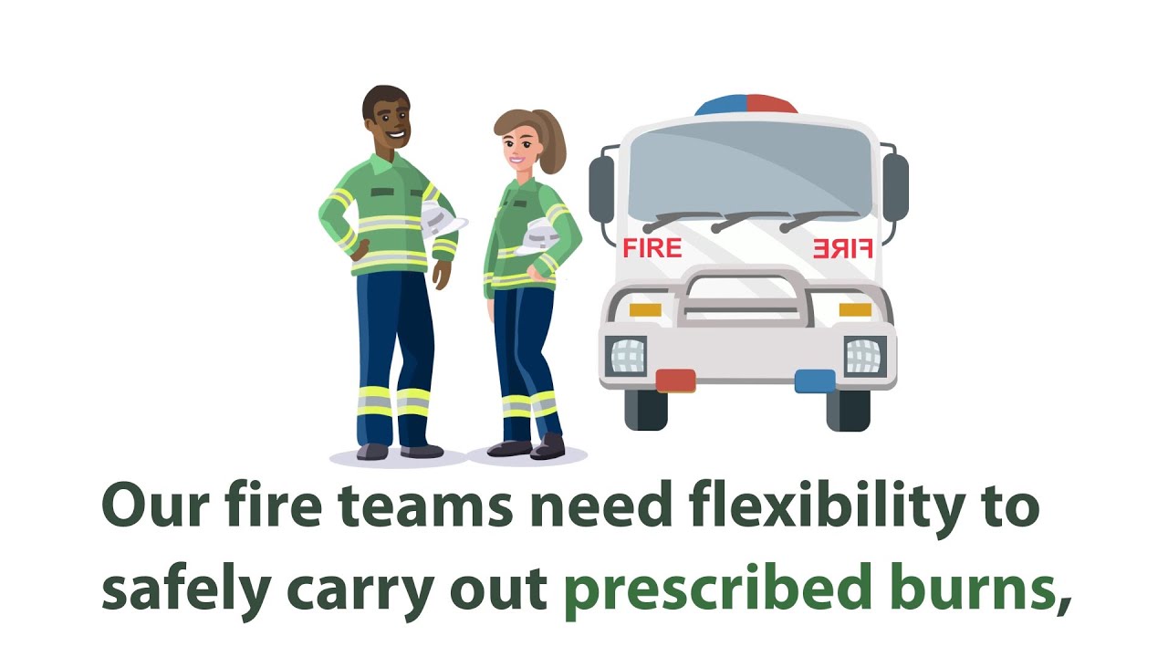 DBCA Burn Options Program - YouTube