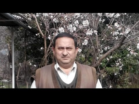 Tahir Qəffarlı - Tənhalıq