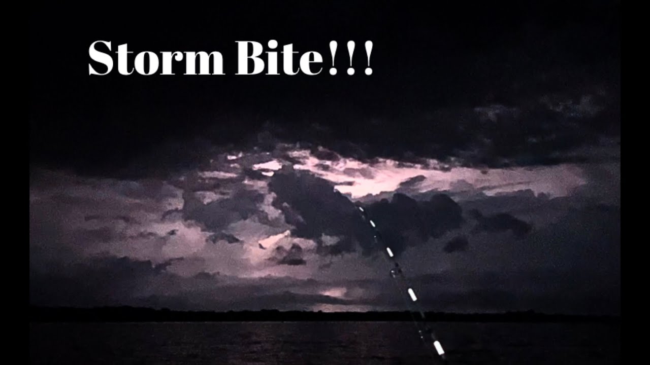 Catfish Bite Before The Storm - YouTube