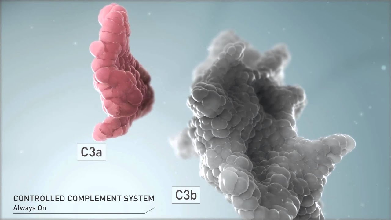 Alexion PNH Complement System video - YouTube