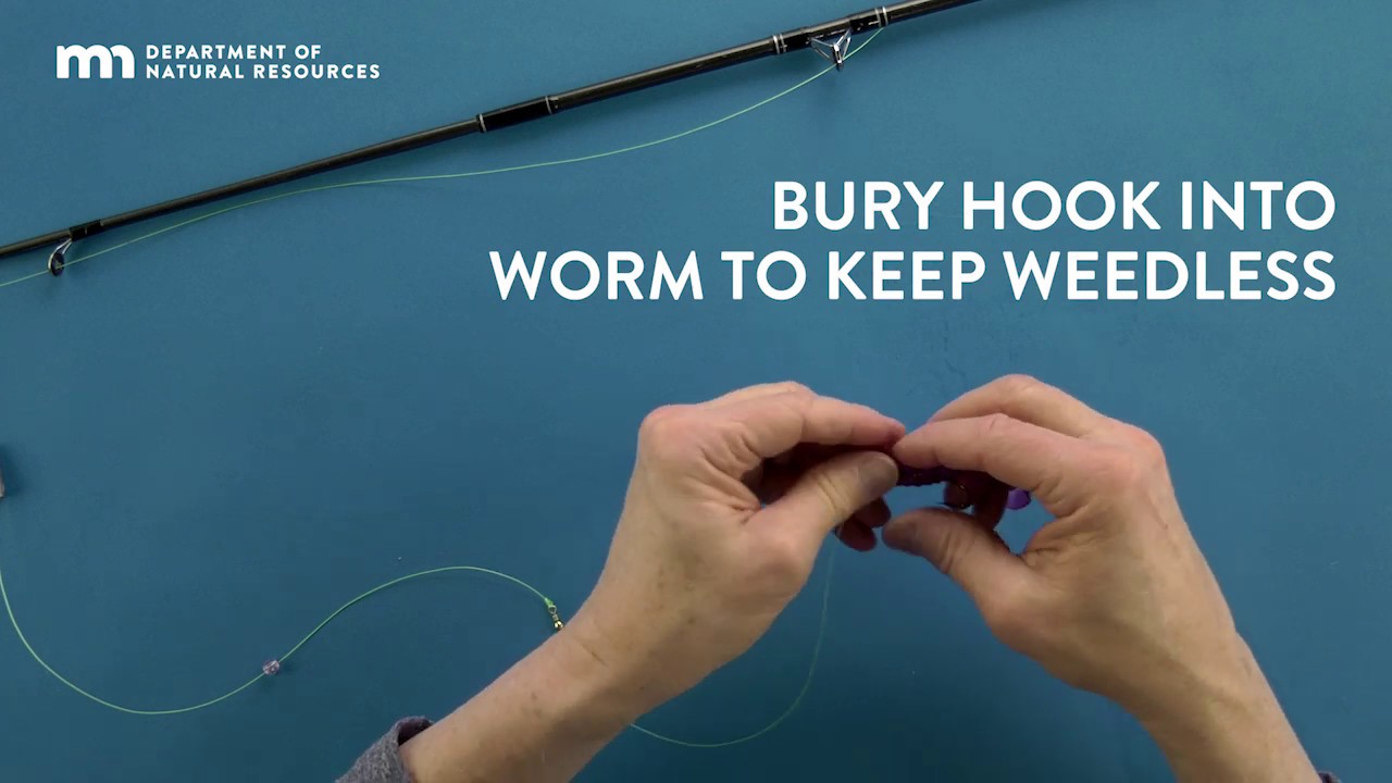 How To Set Up a Carolina Rig - YouTube