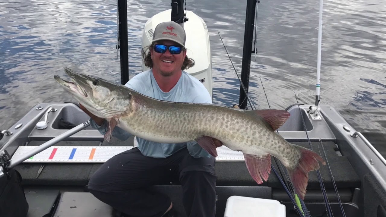 48" Musky on the BarFighter While Everything but the Fish in the Net ...