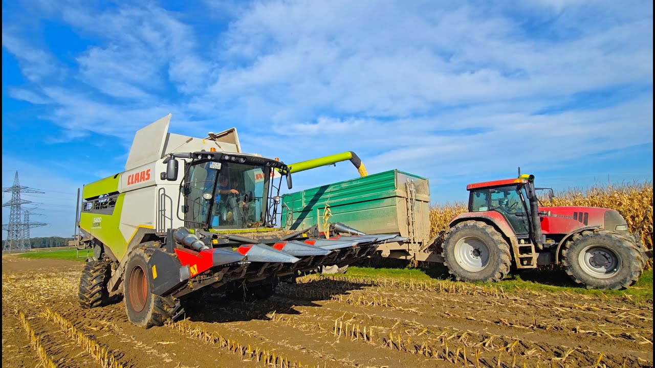 CLAAS Lexion 5400 APS Synflow Walker beim Körnermais dreschen 2024 Case ...