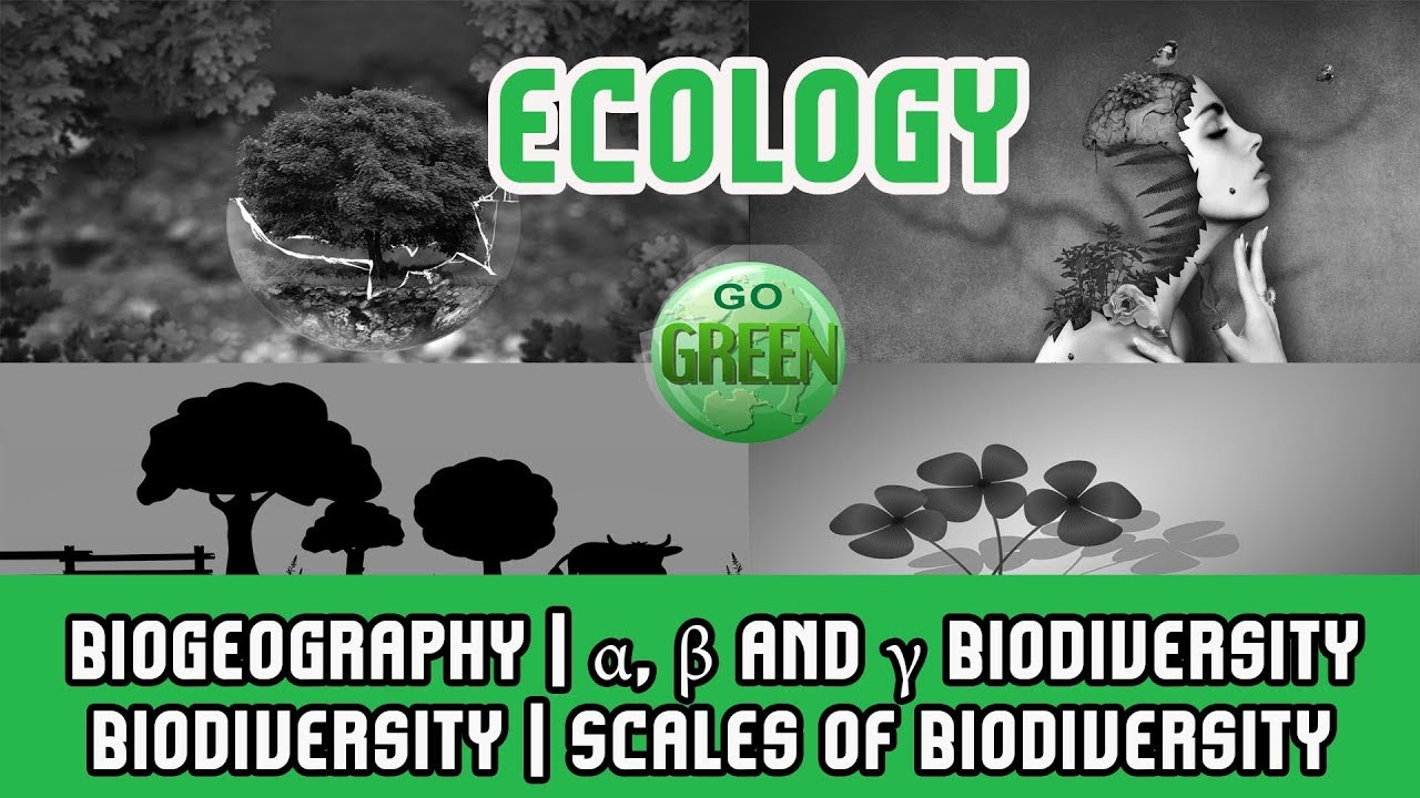 28. Ecology | Biogeography | α, β and γ Biodiversity | Biodiversity ...