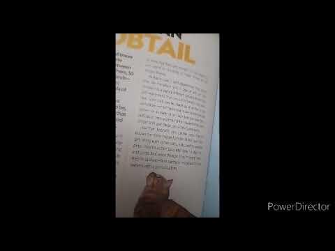I'm Reading My National Geographic Kids Cat Breed Guide Part 45. - YouTube