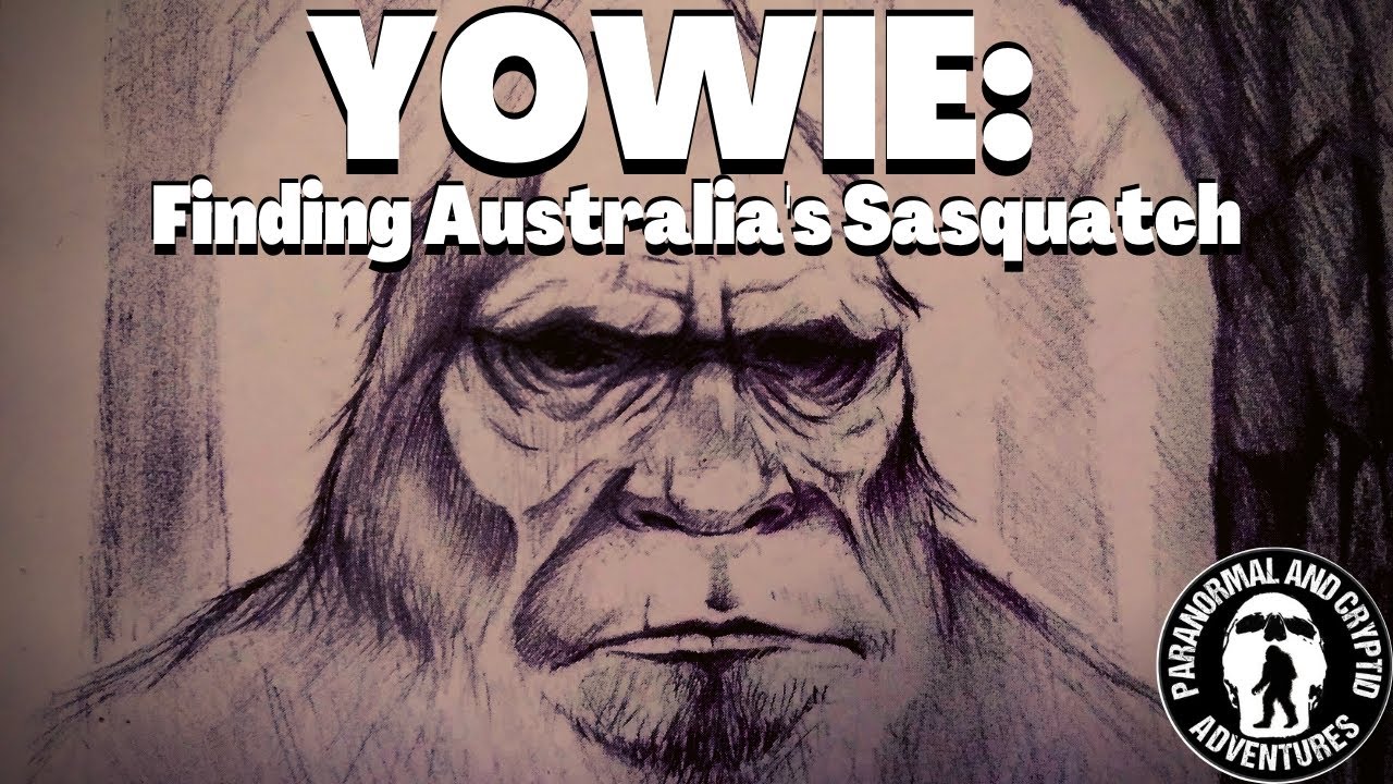 YOWIE: Finding Australia's Sasquatch || Ep# 1 - 'At the start' - YouTube