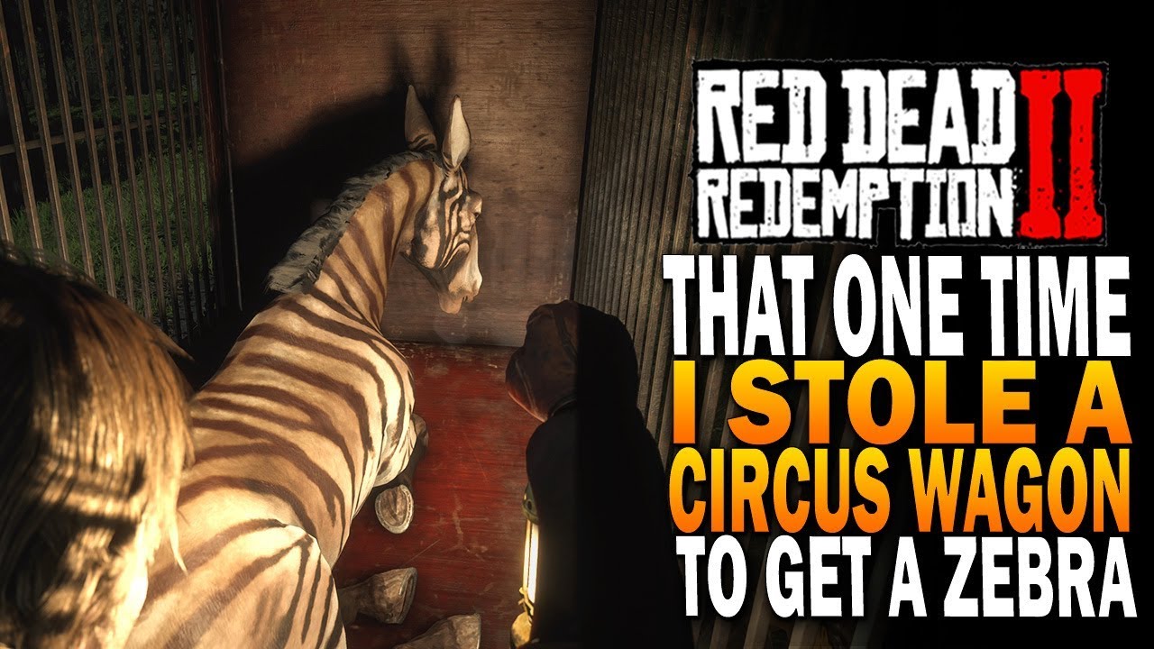 That One Time I Tried To Kidnap A Zebra!? Red Dead Redemption 2 ...
