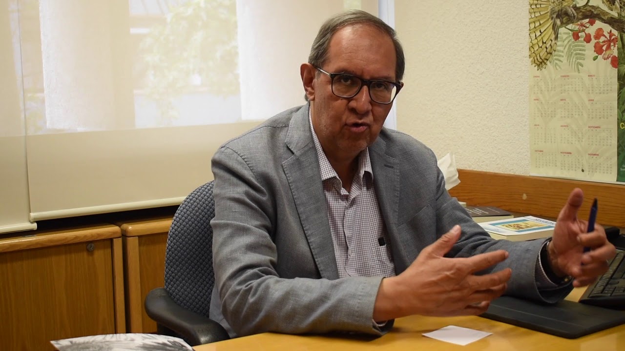 Entrevista Dr Raúl Trejo Delarbre 2 - YouTube