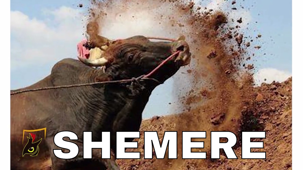 Sauti ya shairi lenye funzo kubwa la maisha -SHEMERE - YouTube