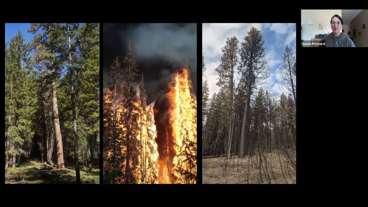 Landscape fuel treatments and wildland fire management strategies ...