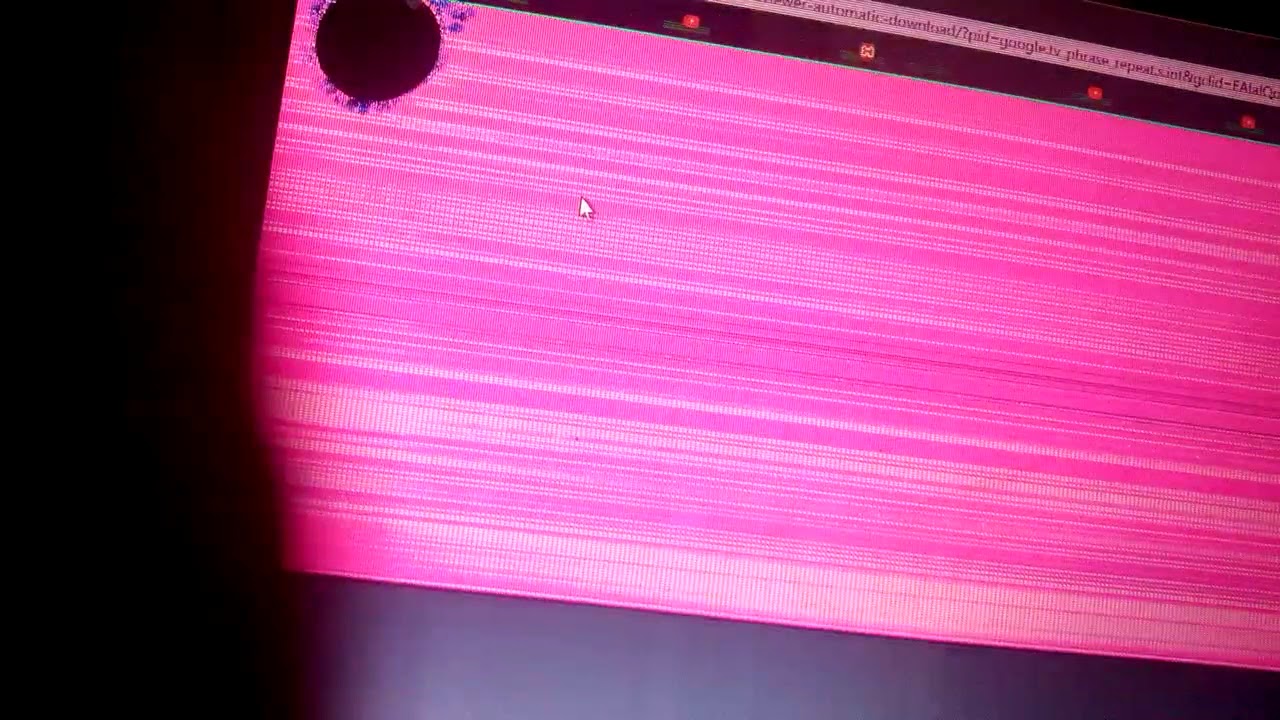 dell laptop screen problem 2 - YouTube