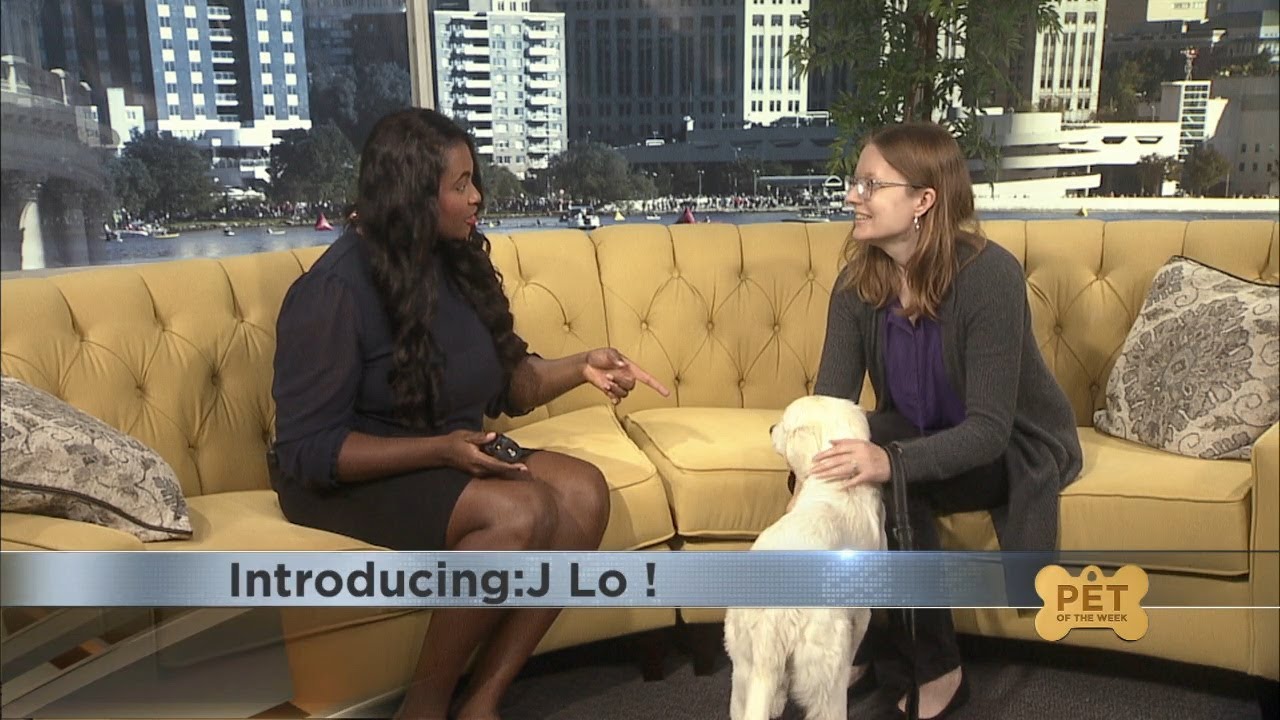 Pet of the Week: Meet J Lo - YouTube