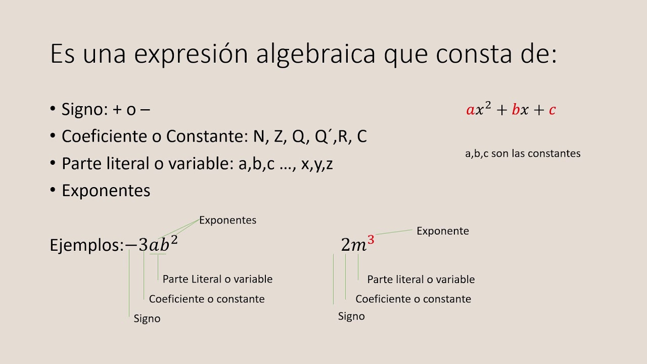 Término. Parte 1: Definición y elementos - YouTube