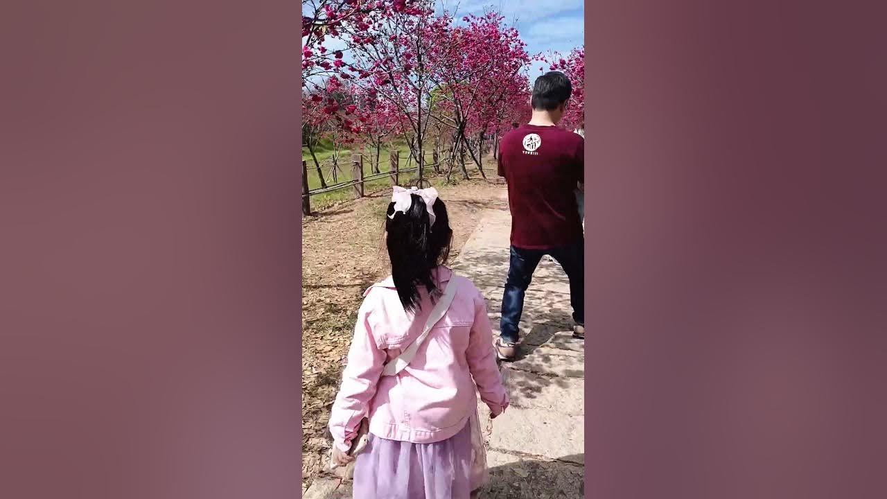 2025年3月1日 - YouTube