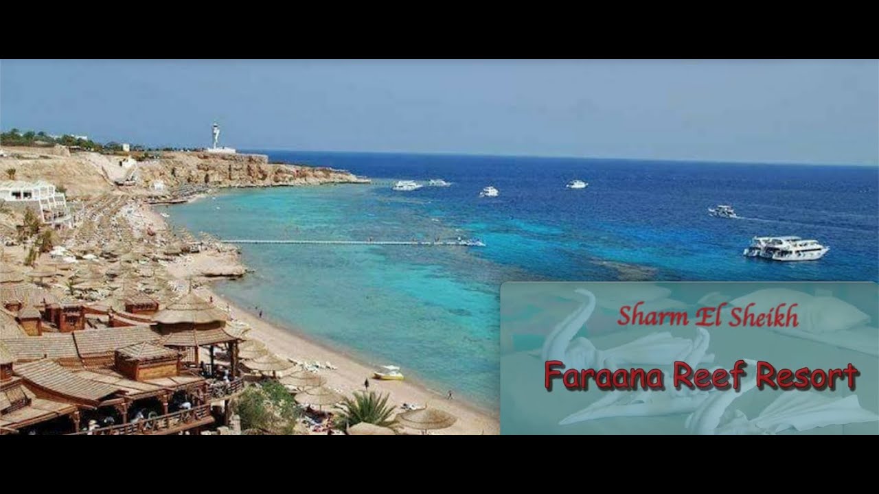 Hotel Faraana Reef Resort 4* - YouTube