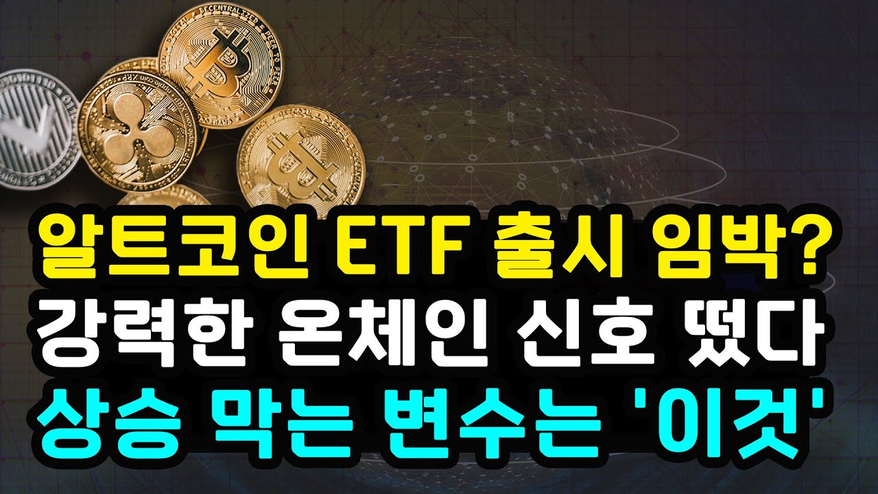 알트코인 비트코인 이어서 현물 Etf 등판할까 장기보유자 고래 온체인 시그널은 상승 가리키는 가운데 단기 조정 변수는 미중