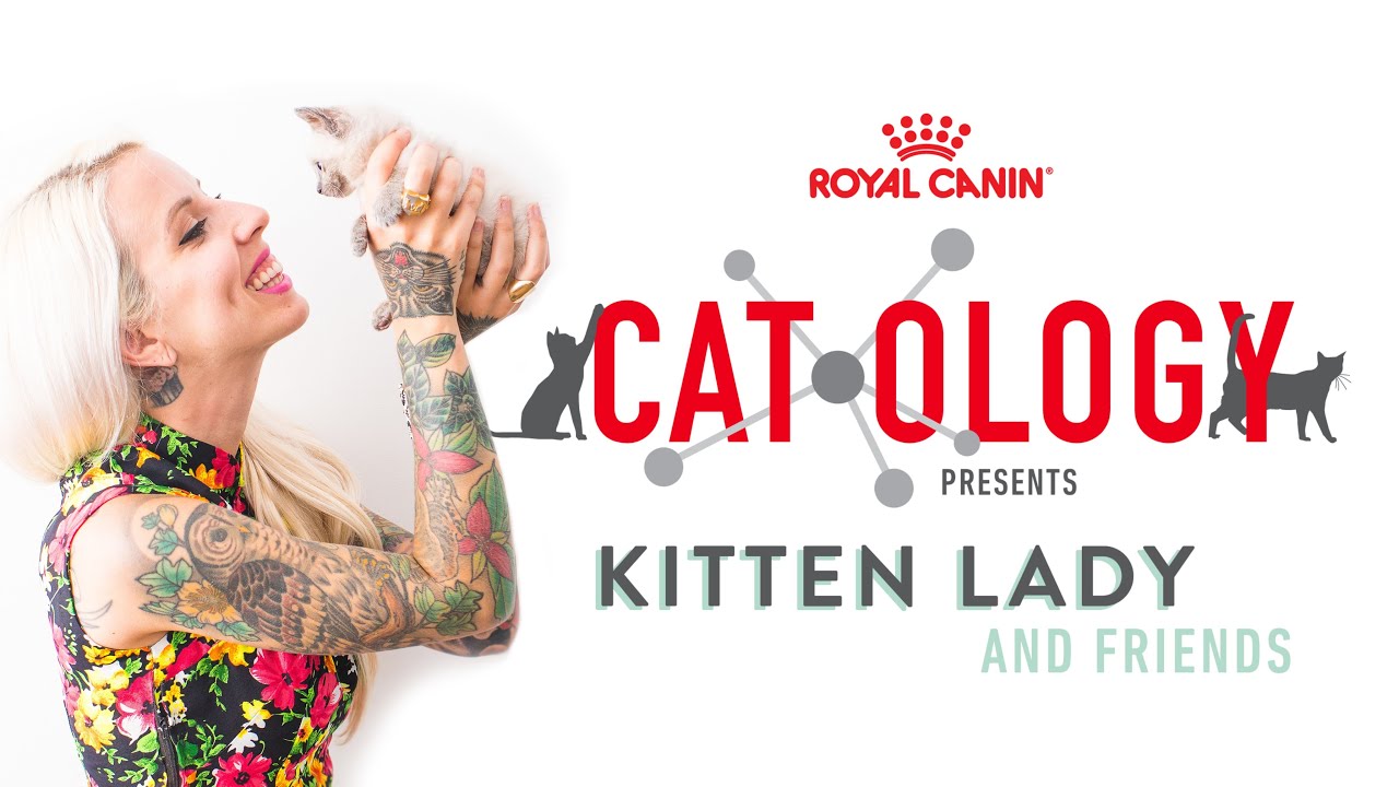 Kitten Lady + Friends: The Science of Cat Behavior! - YouTube