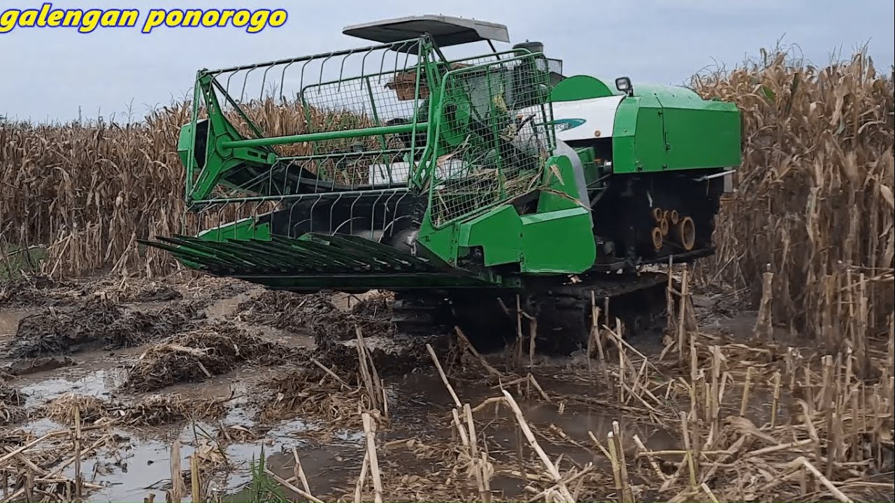 Combine Harvester Javatech memanen jagung di lahan basah daerah Sambit ...