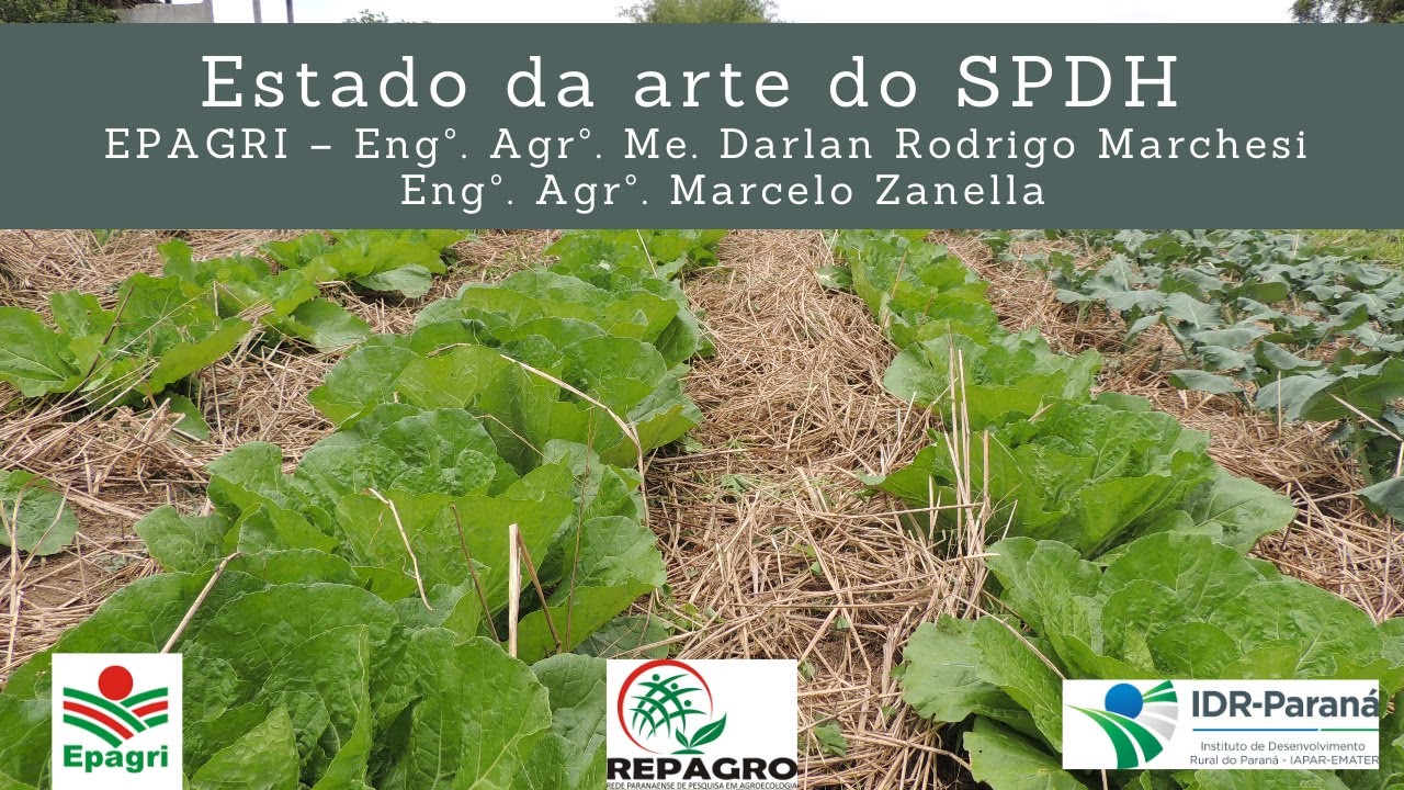 SPDH - Capacitação IDR-Paraná - Abertura - Estado da Arte do SPDH - YouTube
