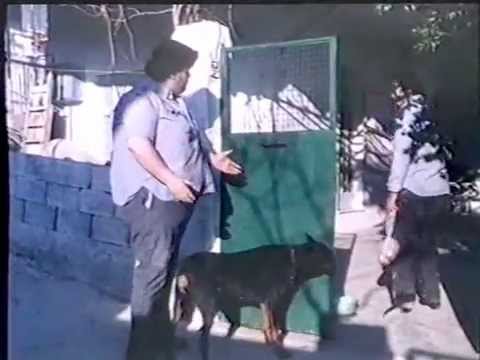 ΚΑΤΙ ΠΑΕΙ ΣΤΡΑΒΑ - 1990