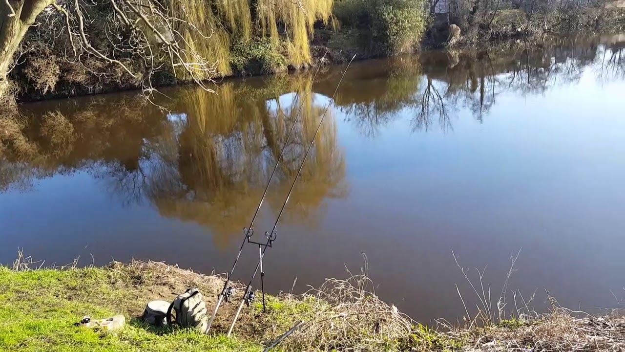 Feeder fishing on river don - YouTube