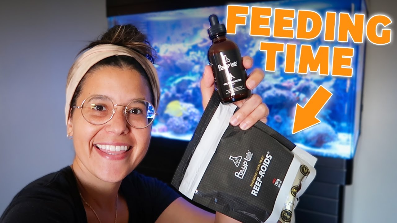 Target Feeding Experience with POLYP BOOSTER and REEF ROIDS!! - YouTube