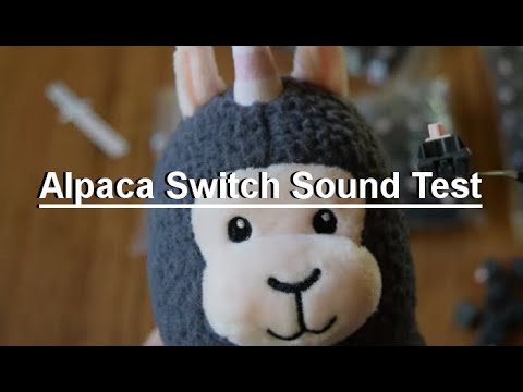 Alpaca Switch Sound Test and Unboxing - YouTube