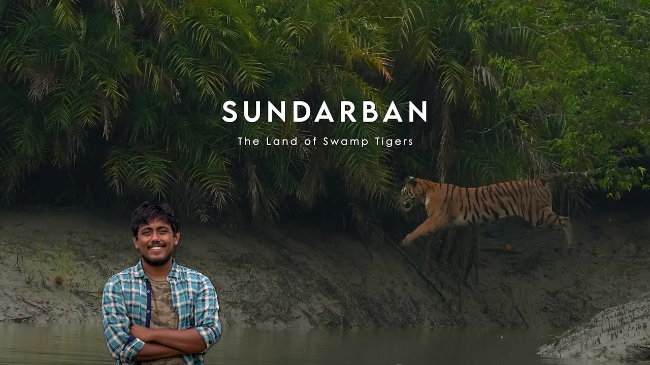 SUNDARBAN ~ THE LAND OF SWAMP TIGER #a6700 #sonyalphain - YouTube