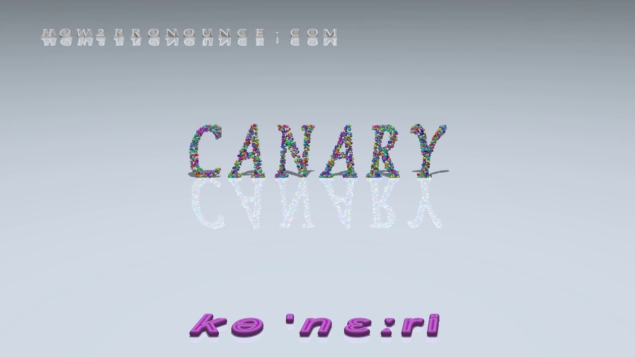 canary - pronunciation + Examples in sentences and phrases - YouTube