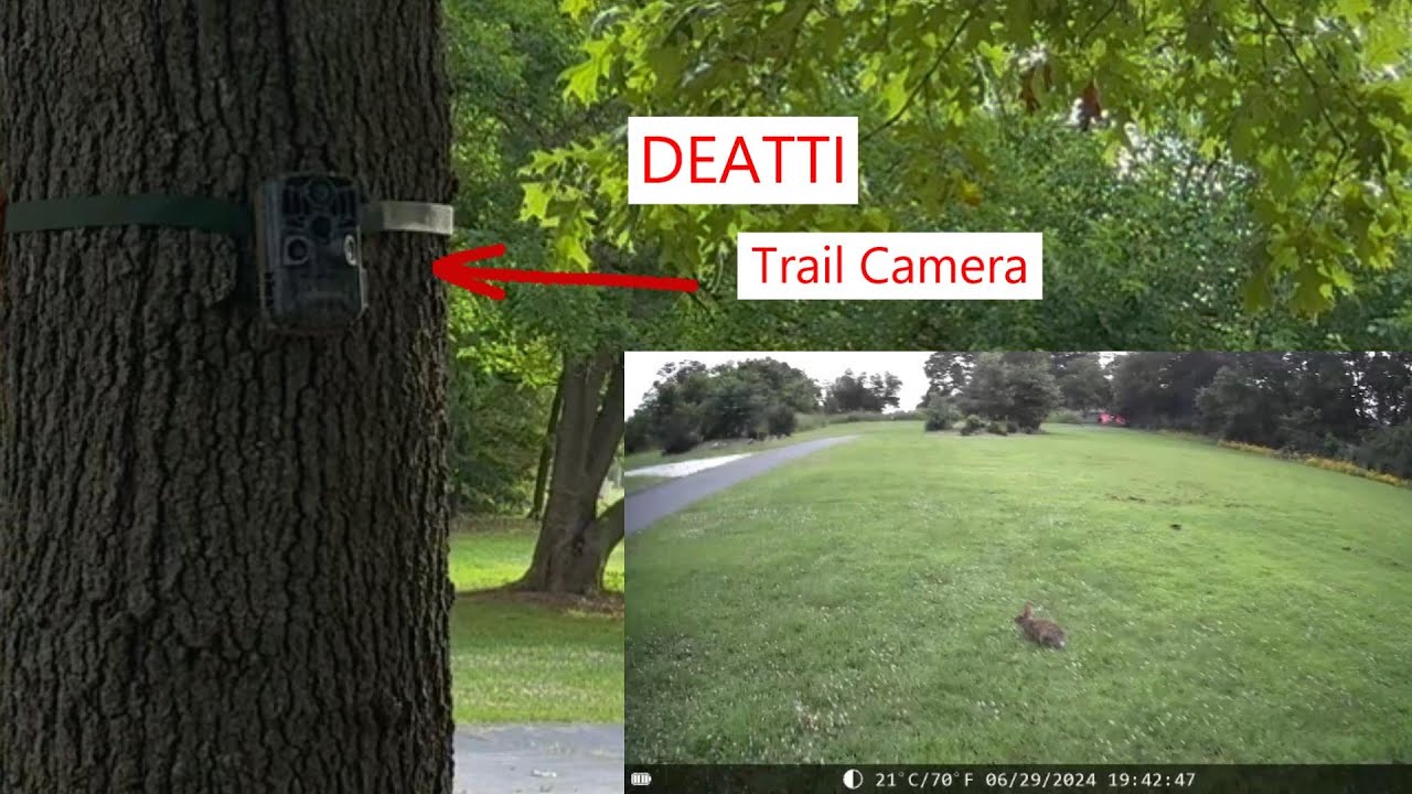 DEATTI 48MP Trail Camera night vision and SD card #trailcam # ...