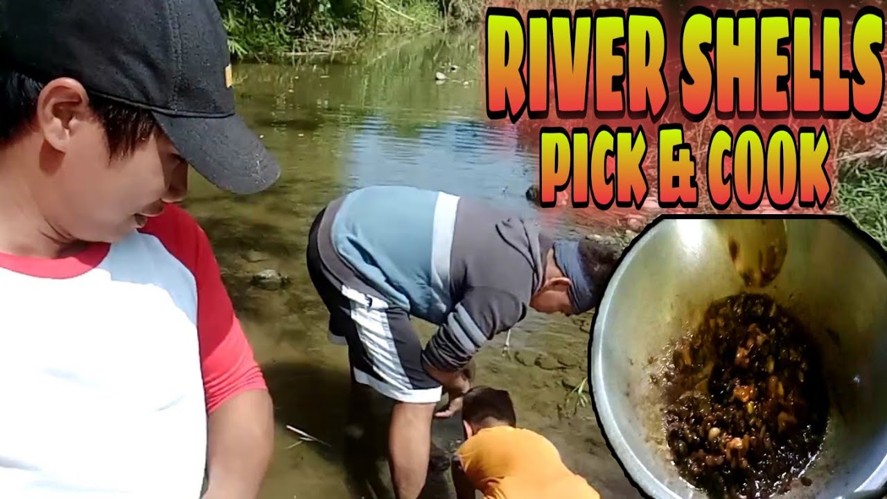 #44- ASSORTED SHELLS /ADOBONG KUHOL AND FRIED CRAB - YouTube