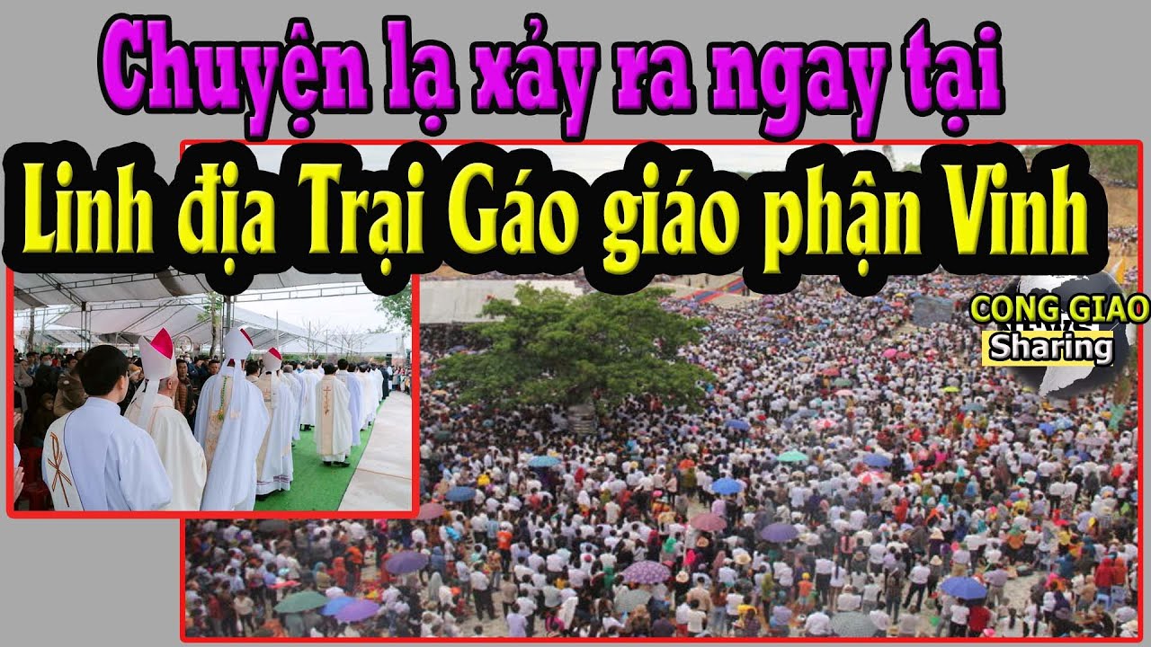 Chuyện lạ xảy ra ngay tại Linh địa Trại Gáo giáo phận Vinh - YouTube