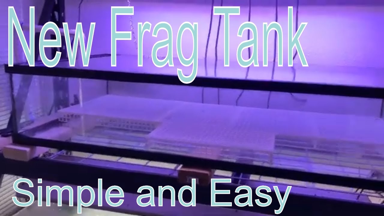 How To Set Up A Coral Frag Tank - YouTube