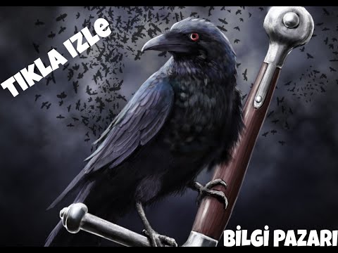 Kuzgunlar Hakkında Bilinmeyen İlginç Bilgiler.