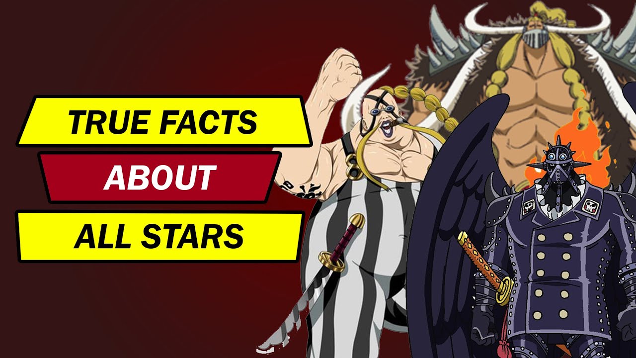 True Facts About All Stars in One Piece, Explained - YouTube