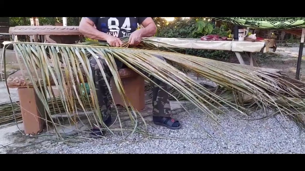 Making BROOM of COCONUT TREE leaves (Must Watch ) - YouTube