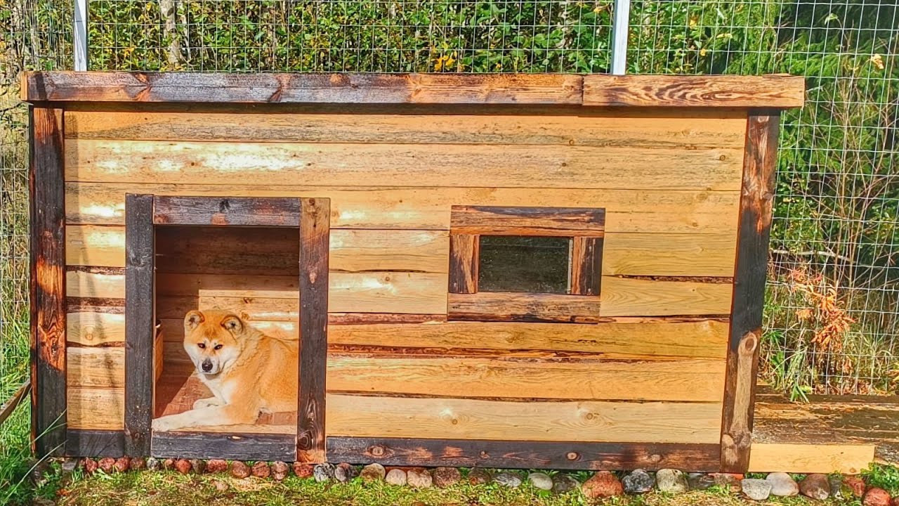 Building a DOG HOUSE out of construction debris for 20$ - YouTube