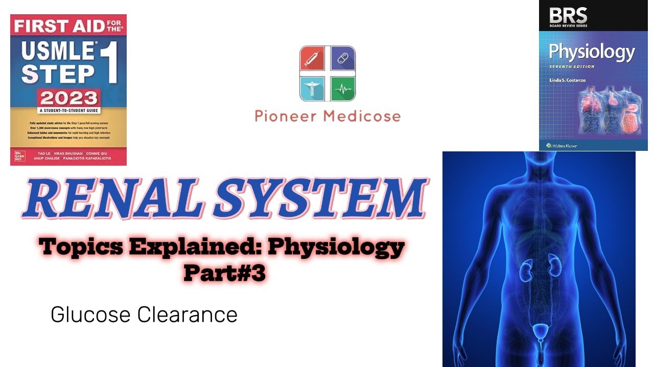Easy explanation of Glucose Clearance First Aid Step 1|Physio part 3 ...