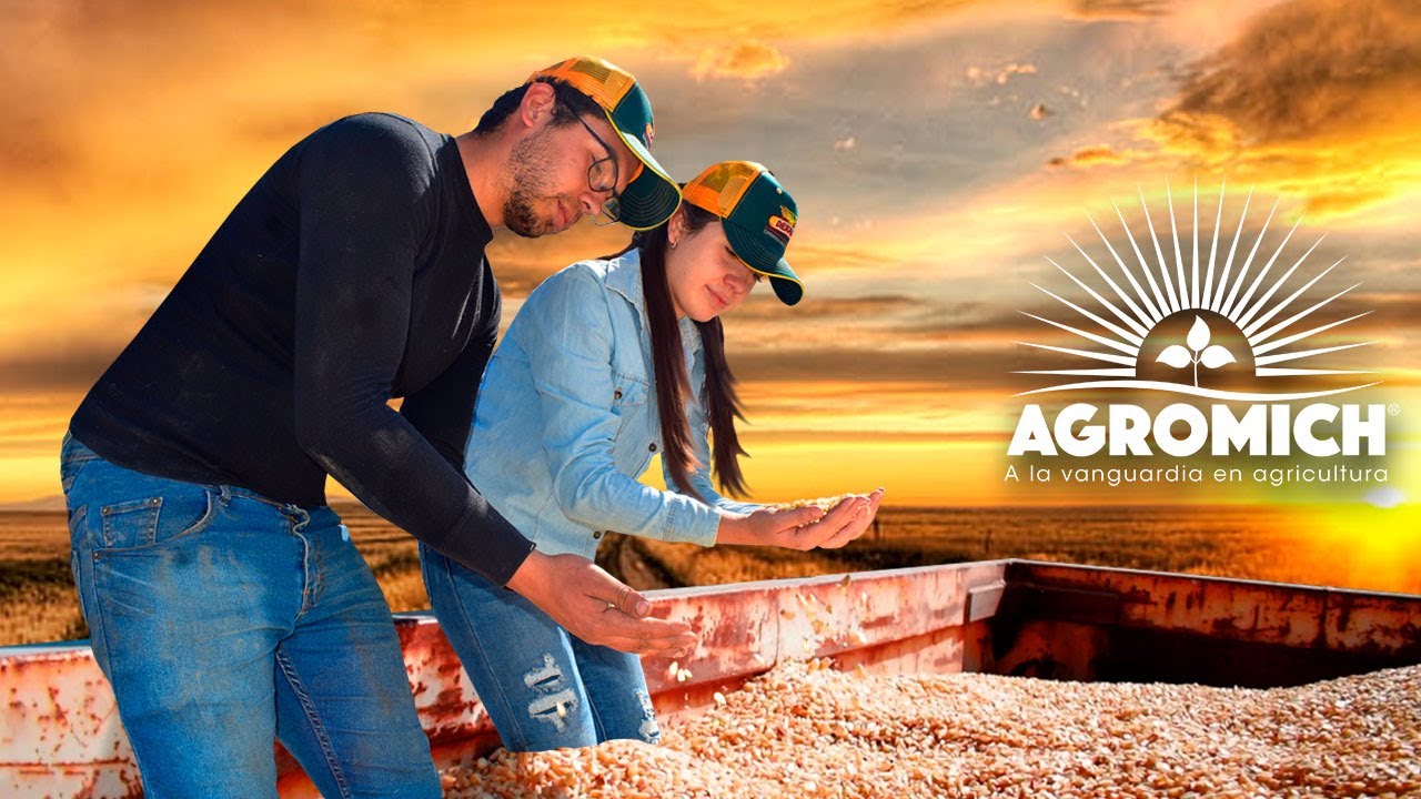 Rubén nos cuenta su experiencia con AGROMICH en la producción de #Maiz ...